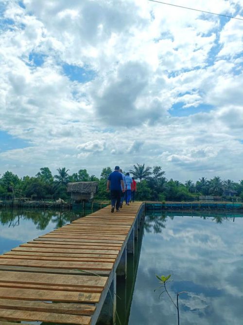 Gallery | Giby Home Stay – Your Ideal Private Retreat | Giby Farm